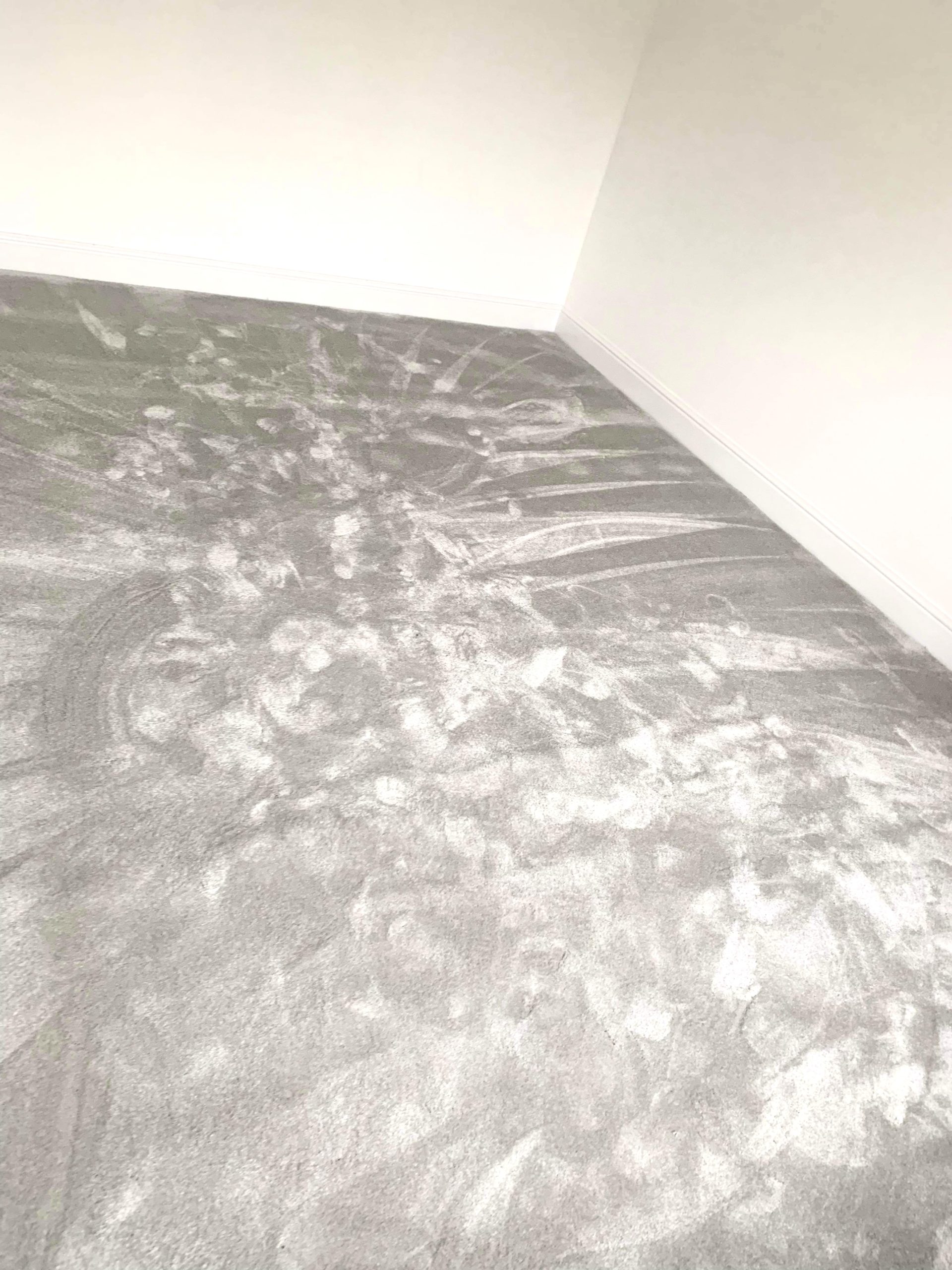 Molta Bella - Elegant Dreams